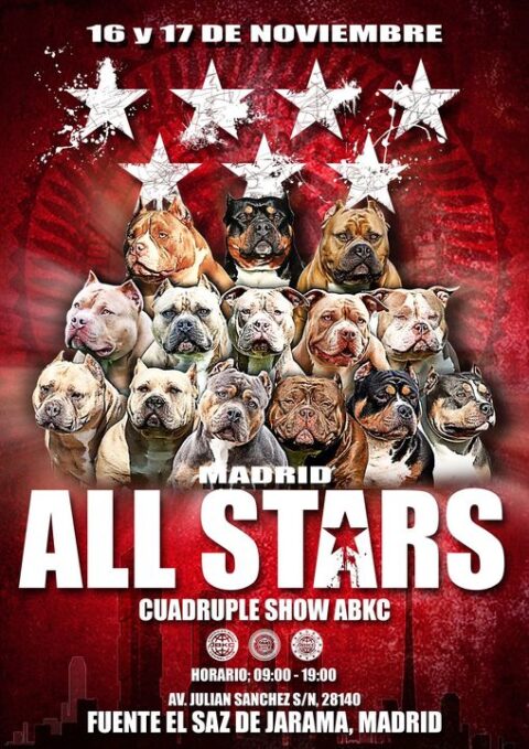 OFFICIAL ABKC EUROPE WEBSITE